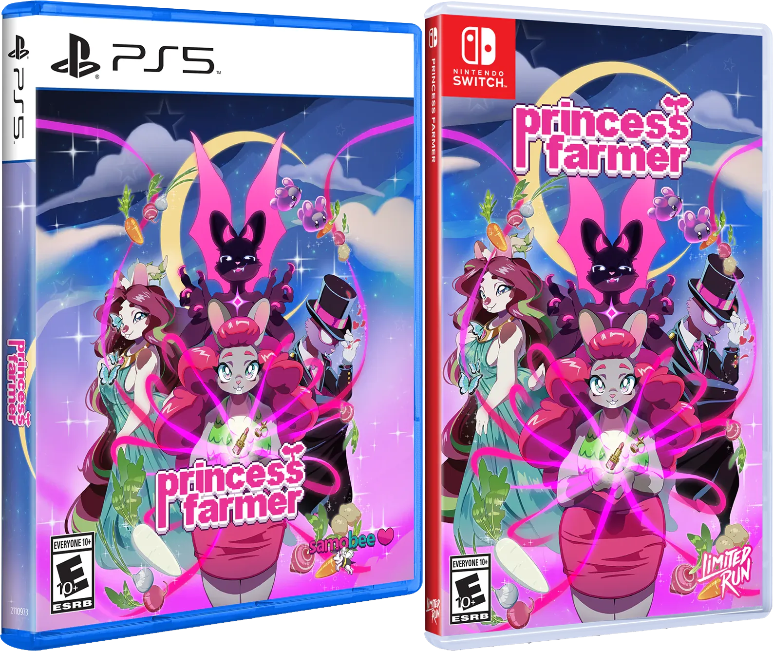 Princess Farmer | PlayStation 5 & Nintendo Switch - Limited Game News