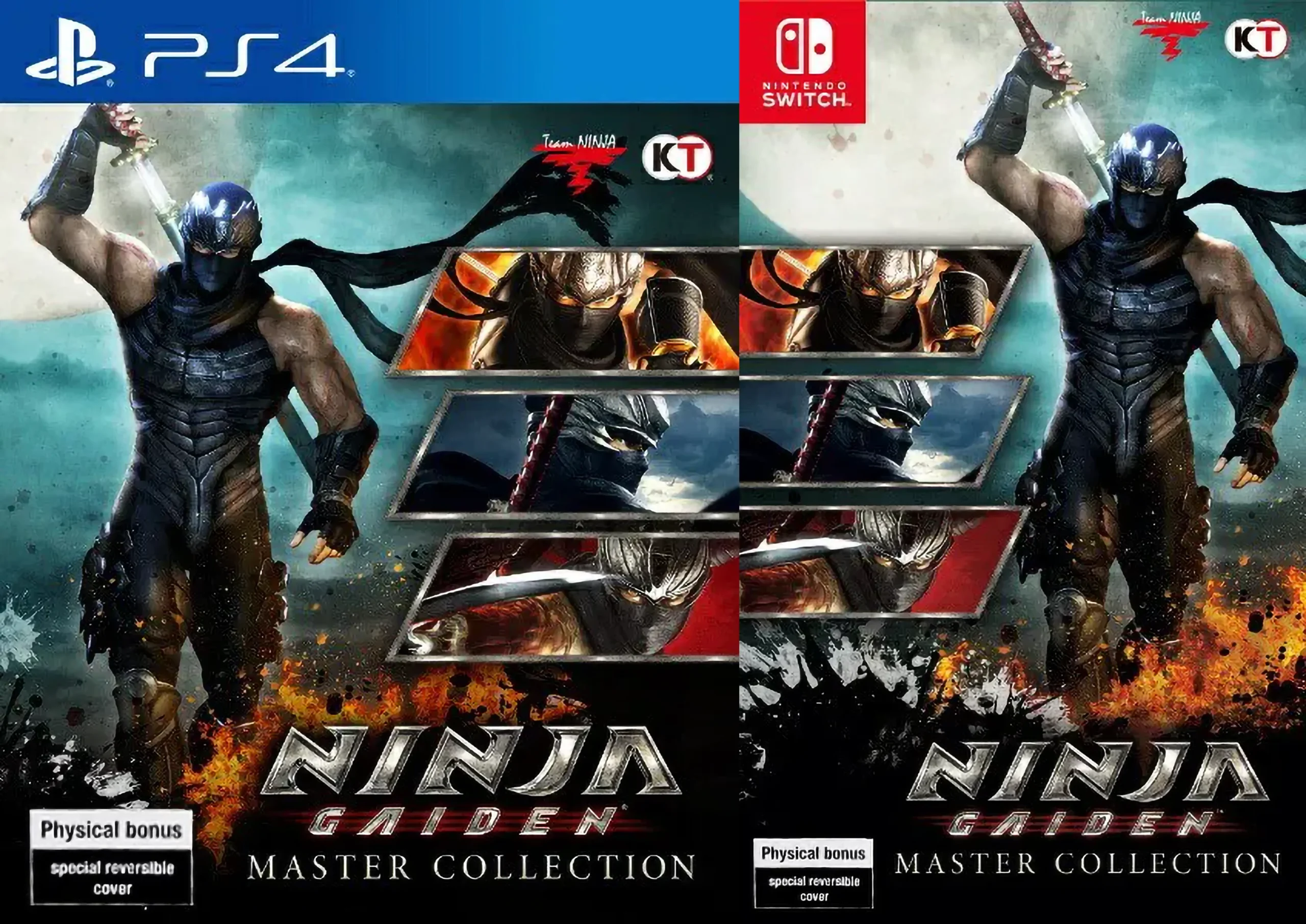Ninja Gaiden: Master Collection | PlayStation 4 & Nintendo Switch ...